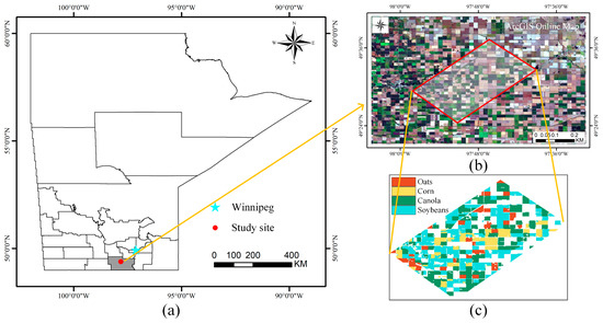 Remote Sensing | Free Full-Text | Active Pairwise Constraint Learning in Constrained Time-Series ...