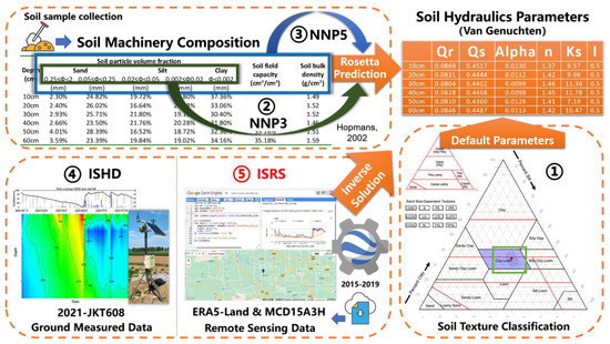 Evaluating the Hydrus-1D Model Optimized by Remote Sensing Data for ...