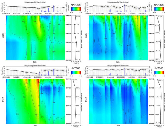 Remote Sensing | Free Full-Text | Evaluating the Hydrus-1D Model Optimized by Remote Sensing ...