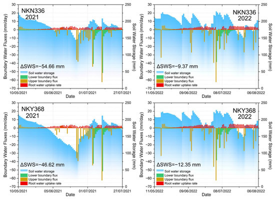 Evaluating the Hydrus-1D Model Optimized by Remote Sensing Data for ...