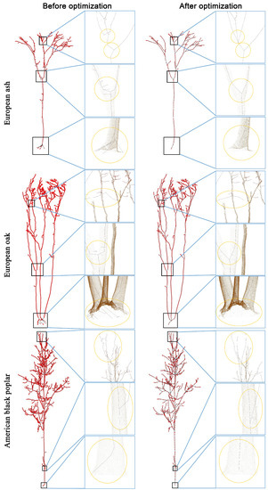 A Novel Scheme about Skeleton Optimization Designed for ISTTWN Algorithm
