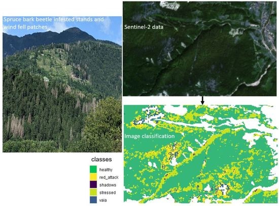 Remote Sensing | Free Full-Text | A Sentinel-2 Based Multi-Temporal Monitoring Framework for ...