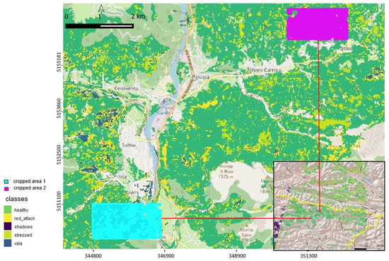 A Sentinel-2 Based Multi-Temporal Monitoring Framework for Wind and Bark Beetle Detection and ...