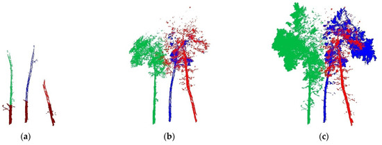 3D Graph-Based Individual-Tree Isolation (Treeiso) from Terrestrial ...