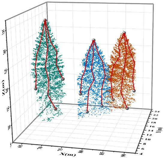 Remote Sensing | Free Full-Text | Optimization Method of Airborne LiDAR Individual Tree ...