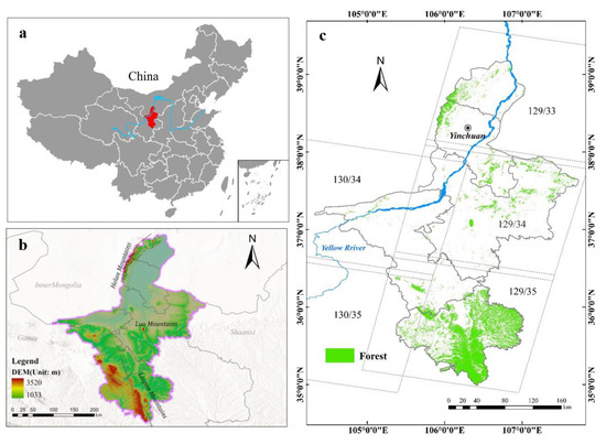 An Object And Shapelet Based Method For Mapping Planted Forest Dynamics From Landsat Time Series