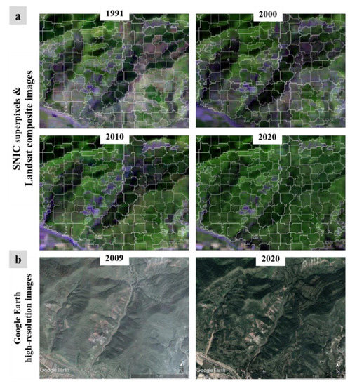 An Object And Shapelet Based Method For Mapping Planted Forest Dynamics From Landsat Time Series