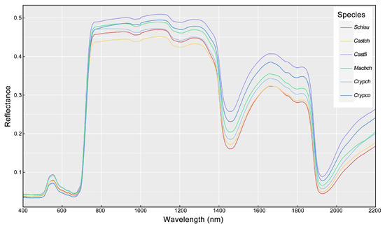 Tree Species Classification Using Plant Functional Traits and Leaf ...