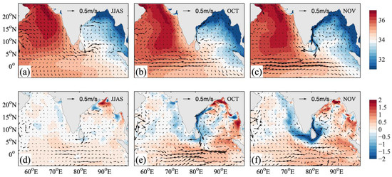 Sea Surface Salinity Anomaly in the Bay of Bengal during the 2010 ...