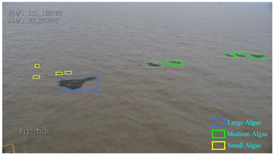 A High-Quality Instance-Segmentation Network for Floating-Algae Detection Using RGB Images