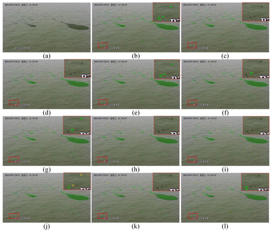 A High-Quality Instance-Segmentation Network for Floating-Algae Detection Using RGB Images