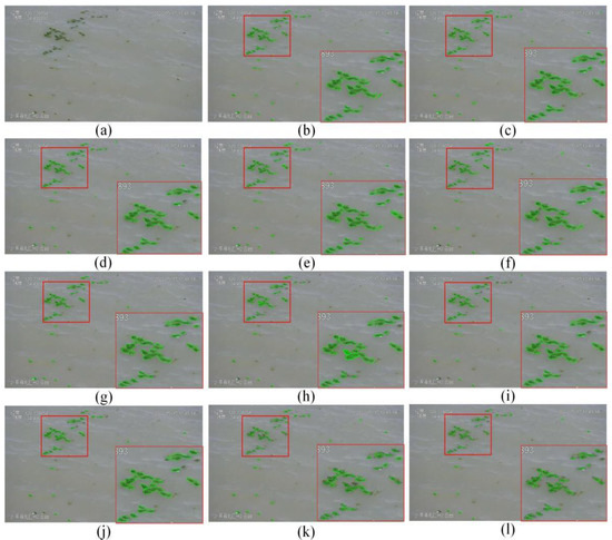 A High-Quality Instance-Segmentation Network for Floating-Algae Detection Using RGB Images