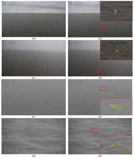 A High-Quality Instance-Segmentation Network for Floating-Algae Detection Using RGB Images