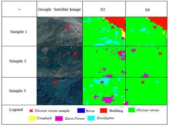 Remote Sensing Extraction Method of Illicium verum Based on Functional ...