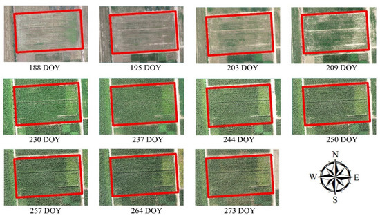 Integrated UAV-Based Multi-Source Data for Predicting Maize Grain Yield Using Machine Learning ...