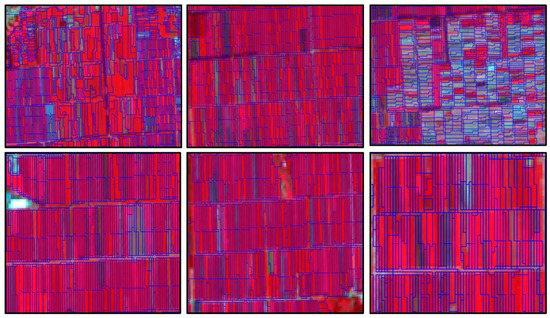 Remote Sensing | Free Full-Text | Validating the Crop Identification Capability of the Spectral ...