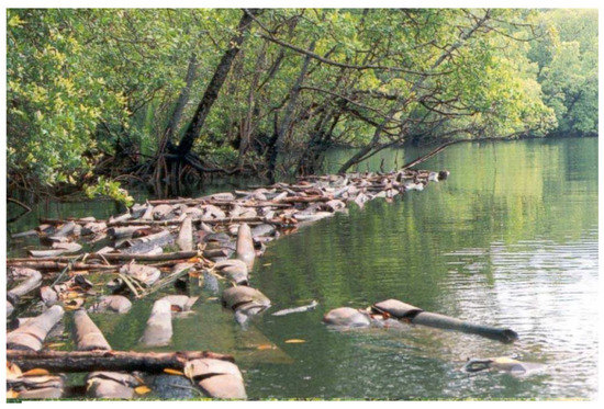 Decision Tree and Random Forest Classification Algorithms for Mangrove ...