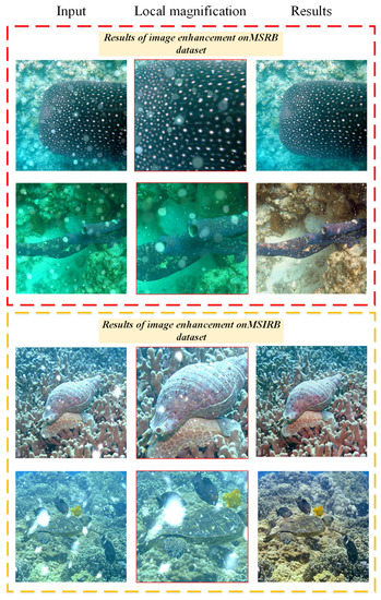UIR-Net: A Simple and Effective Baseline for Underwater Image Restoration and Enhancement