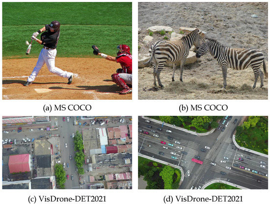 A Lightweight Object Detector Based on Spatial-Coordinate Self ...