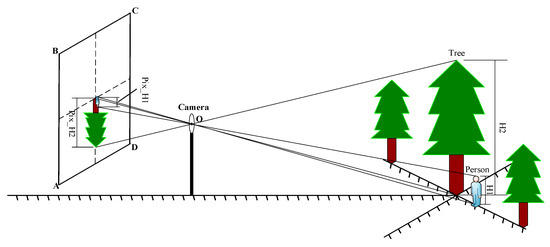 Intelligent Estimating the Tree Height in Urban Forests Based on Deep ...