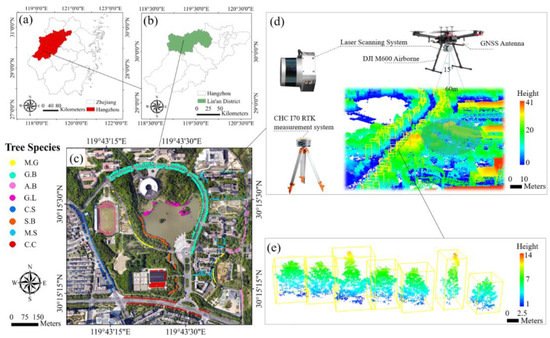 Remote Sensing | Free Full-Text | Tree Species Classifications of Urban ...