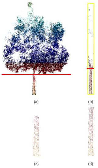 A Method Based On Improved Iforest For Trunk Extraction And Denoising Of Individual Street Trees