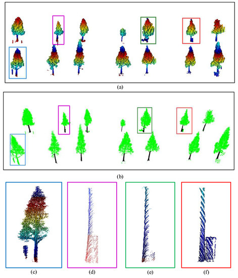 A Method Based on Improved iForest for Trunk Extraction and Denoising of Individual Street Trees