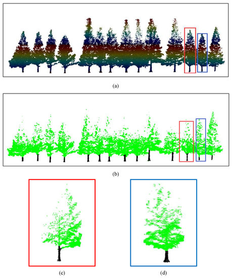A Method Based On Improved Iforest For Trunk Extraction And Denoising Of Individual Street Trees