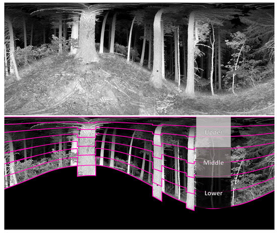 New Structural Complexity Metrics for Forests from Single Terrestrial ...