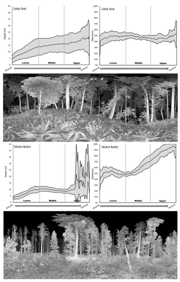 New Structural Complexity Metrics for Forests from Single Terrestrial ...