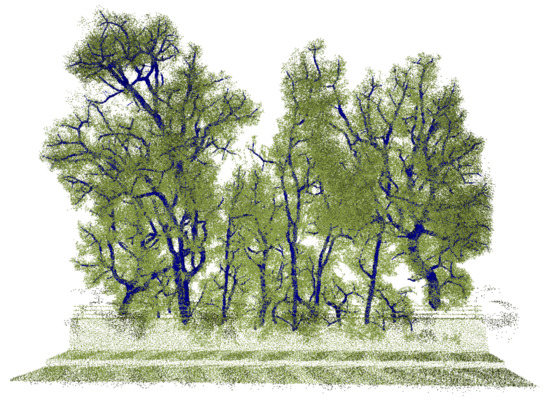 Tree Reconstruction Using Topology Optimisation