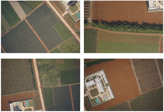 Remote Sensing | Free Full-Text | A Novel Method for Digital Orthophoto ...