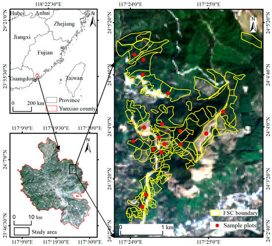 Forest Structure Simulation of Eucalyptus Plantation Using Remote ...