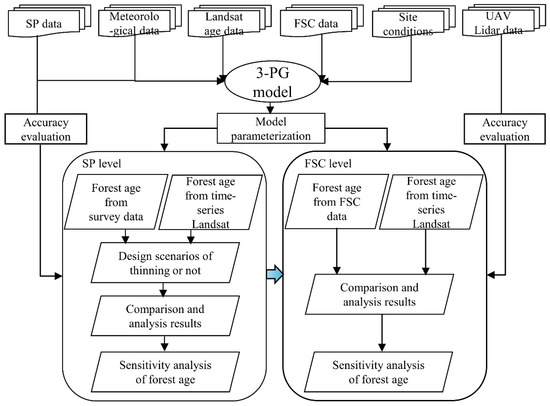 Forest Structure Simulation of Eucalyptus Plantation Using Remote ...