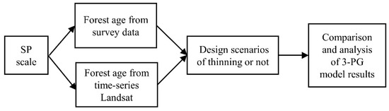 Forest Structure Simulation of Eucalyptus Plantation Using Remote ...