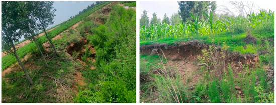 Remote Sensing | Free Full-Text | Estimation of Gully Growth Rate and ...