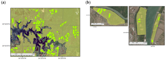 Detecting Deforestation Using Logistic Analysis and Sentinel-1 Multitemporal Backscatter Data