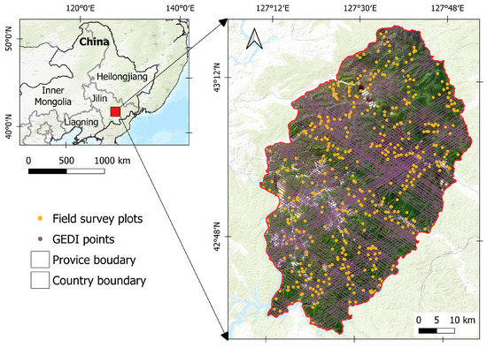 Quantifying Temperate Forest Diversity By Integrating Gedi Lidar And Multi Temporal Sentinel 2