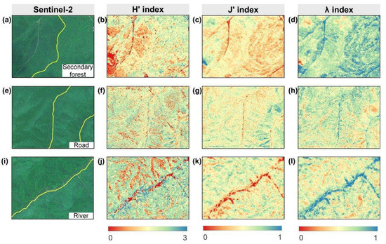 Quantifying Temperate Forest Diversity By Integrating Gedi Lidar And Multi Temporal Sentinel 2