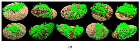 Tree Species Classification Using Airborne Lidar Data Based On Individual Tree Segmentation And