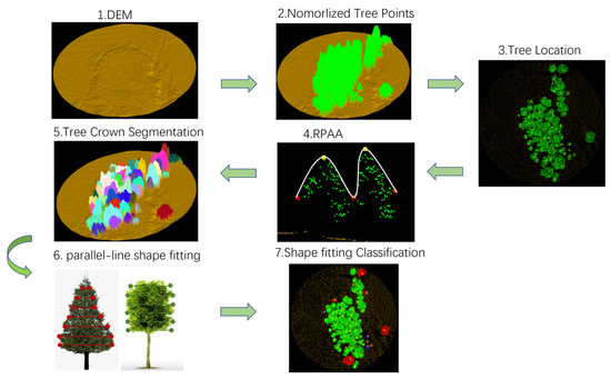 Tree Species Classification Using Airborne Lidar Data Based On Individual Tree Segmentation And