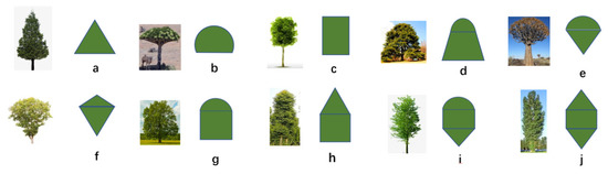 Tree Species Classification Using Airborne LiDAR Data Based on ...