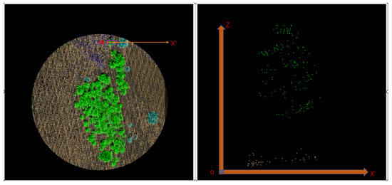 Tree Species Classification Using Airborne Lidar Data Based On Individual Tree Segmentation And