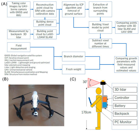 Accuracy Evaluation and Branch Detection Method of 3D Modeling Using ...