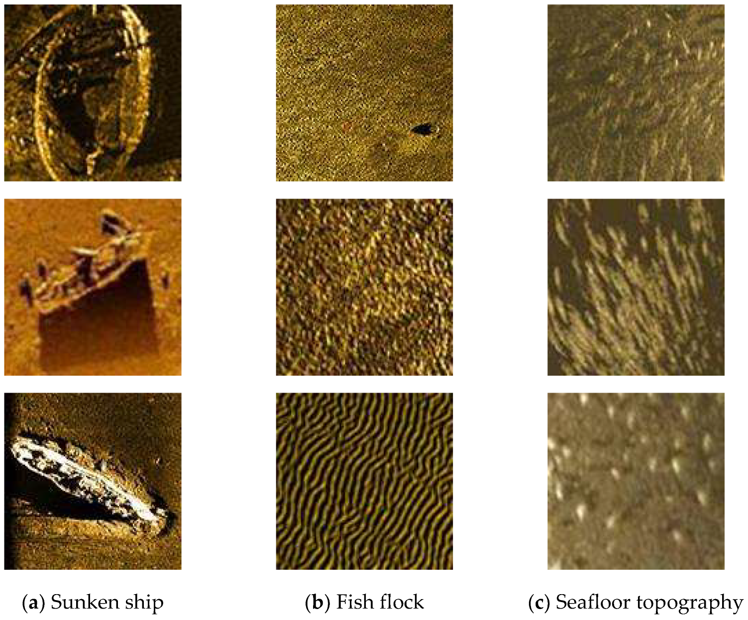 Improved Neural Network with Spatial Pyramid Pooling and Online ...