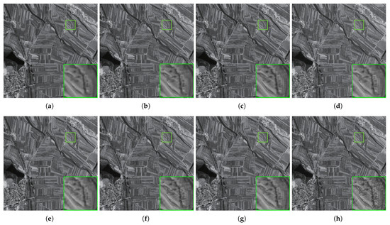 MD3: Model-Driven Deep Remotely Sensed Image Denoising