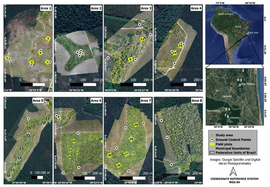 Mapping of the Successional Stage of a Secondary Forest Using Point ...