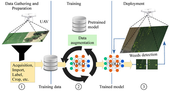 Deep Object Detection of Crop Weeds: Performance of YOLOv7 on a Real Case Dataset from UAV Images