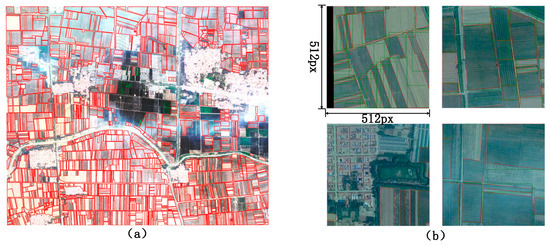 Multi-Swin Mask Transformer for Instance Segmentation of Agricultural Field Extraction