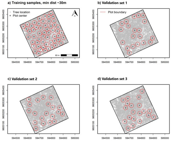 Ensemble Machine Learning for Mapping Tree Species Alpha-Diversity Using Multi-Source Satellite ...